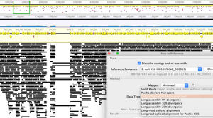Geneious Review [2025] Details, Pricing & Features